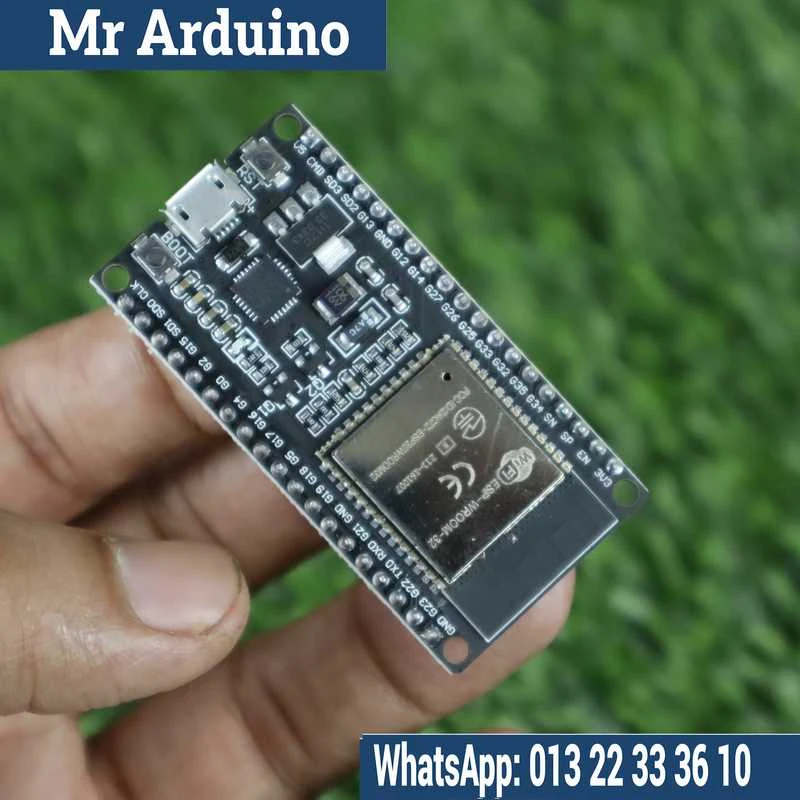 ESP32 38 Pin Development Board